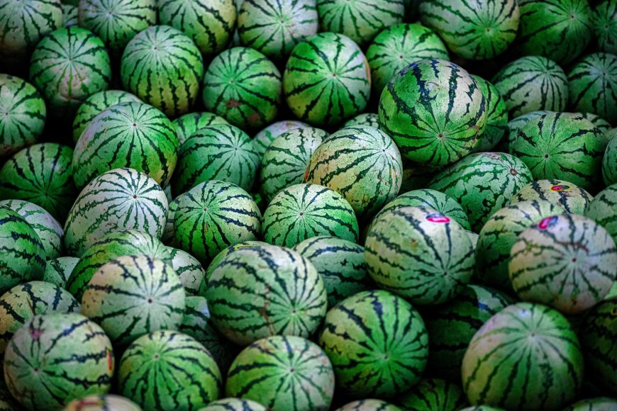 Suika: Japan's Sweet Summer Fruit - Nipino.com - Bridging Japan and the ...